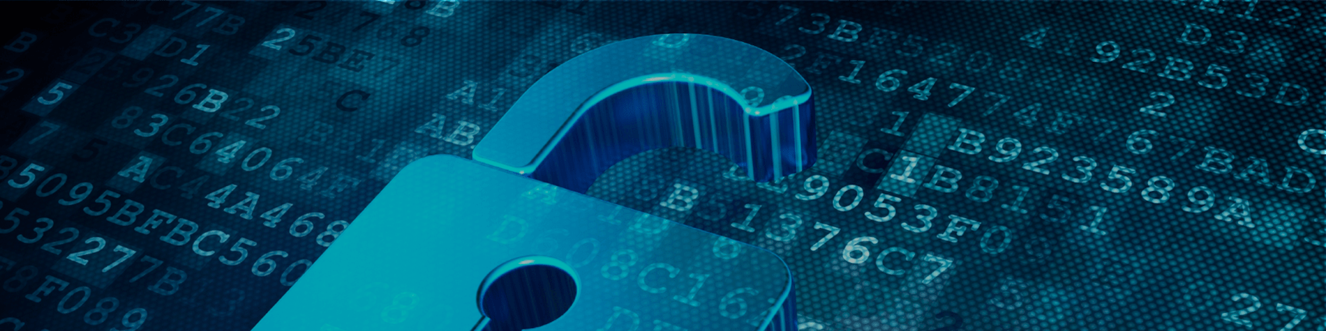 Should a Family Office Prioritize Cybersecurity? – NetWatcher – Cyber ...