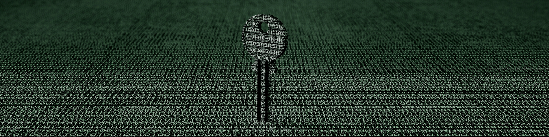 digital safety concept key in electronic environment. – NetWatcher ...